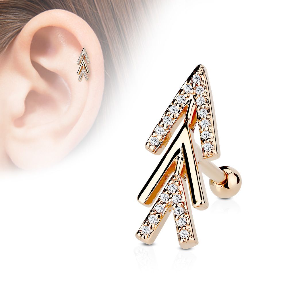 Tragus Ohr Piercing Stecker Helix Cartilage Barbell Pfeil Arrow Autiga ...